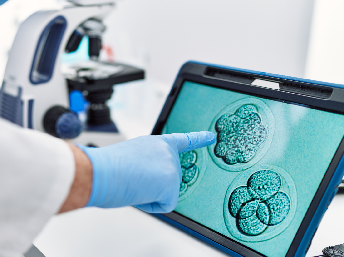 Celebrating the Unsung Heroes of Fertility: World Embryologist Day ...