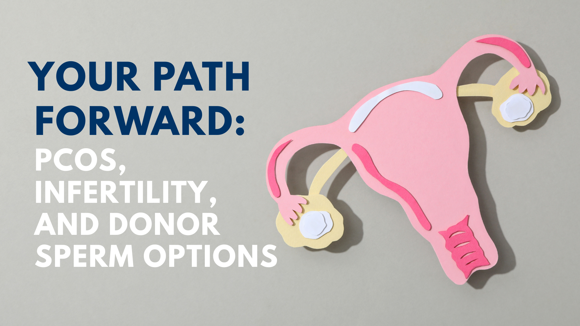 Your Path Forward: PCOS, Infertility, and Donor Sperm Options | Fairfax ...