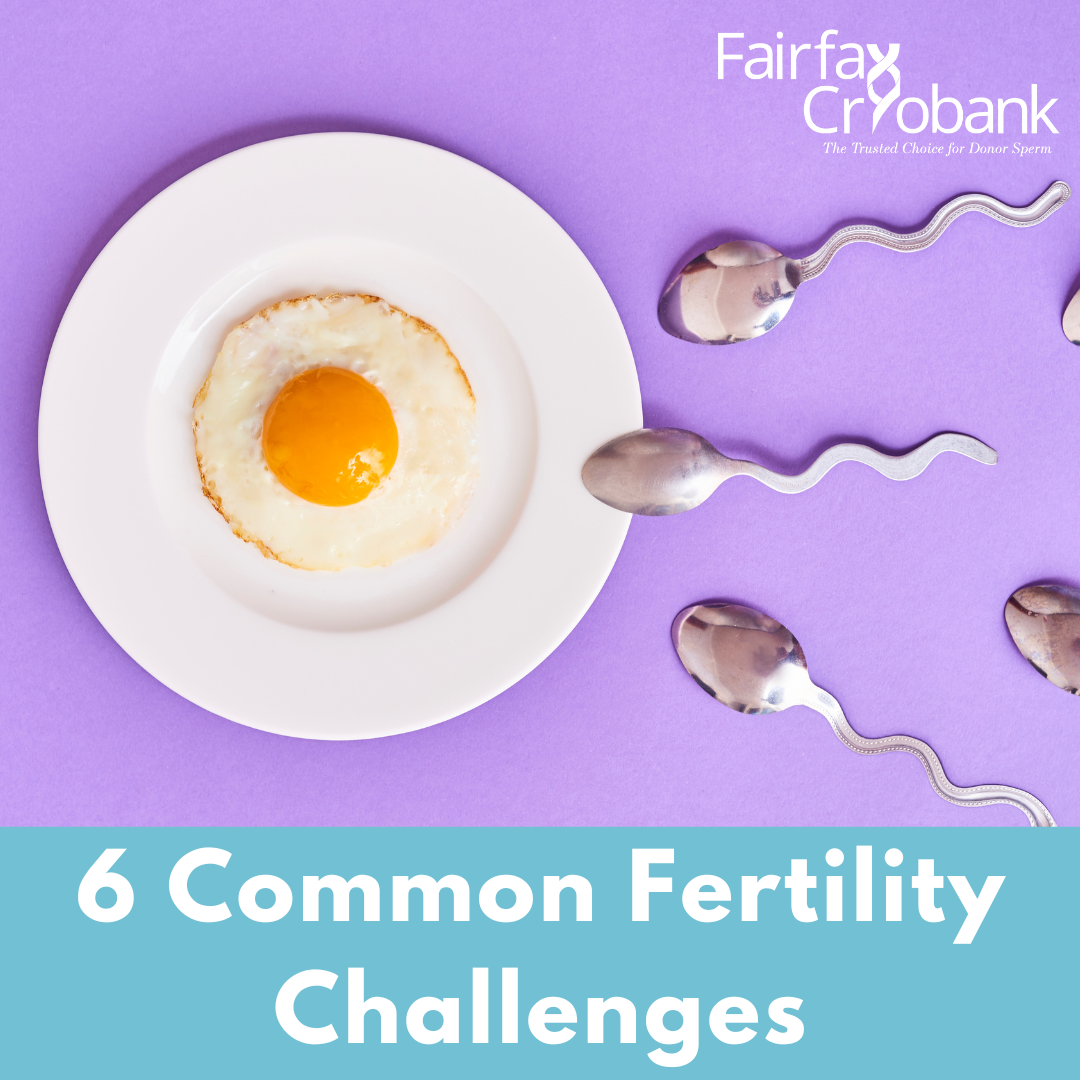 6 COMMON FERTILITY CHALLENGES | Fairfax Cryobank - Find a Sperm Donor