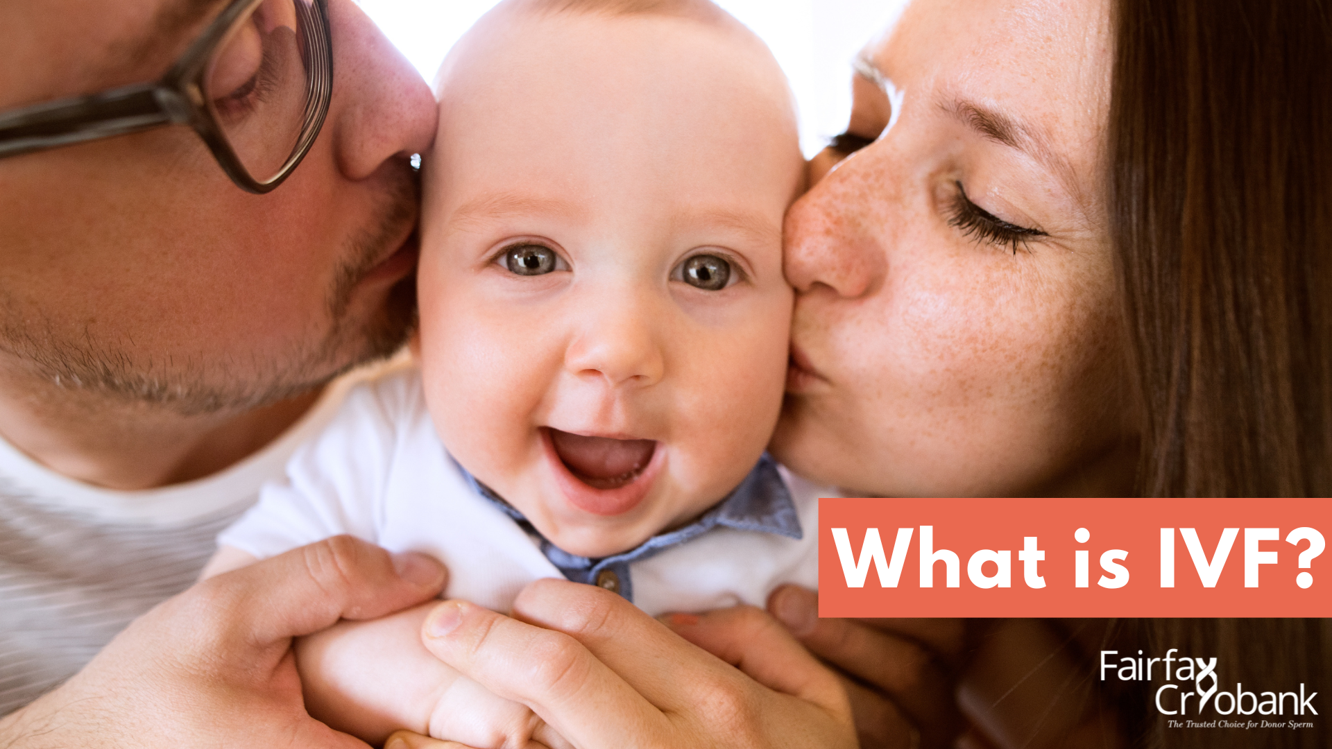 What is IVF? | Fairfax Cryobank - Find a Sperm Donor
