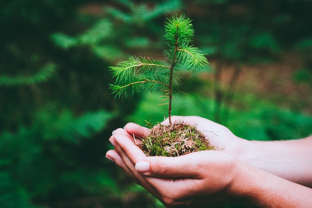 Give Back to the Earth with these Earth Day Activities! | Fairfax Cryobank